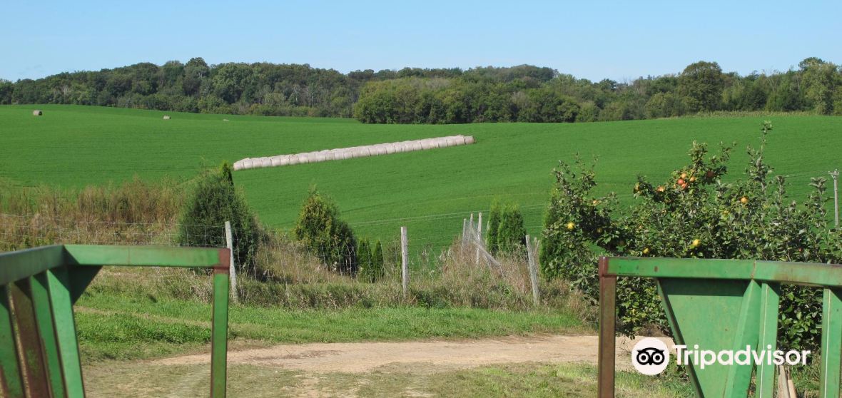 Mazeppa Township Travel Guide 2023 - Things to Do, What To Eat & Tips ...