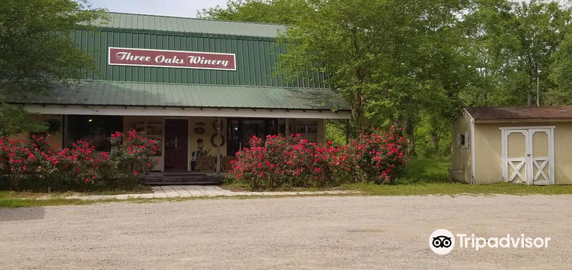 Bonifay Travel Guide 2023 - Things to Do, What To Eat & Tips | Trip.com