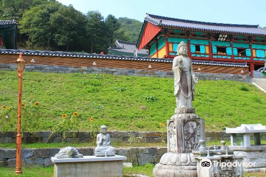 How to Spend 5 Days in Wonju - A Complete Itinerary for Wonju - Trip.com