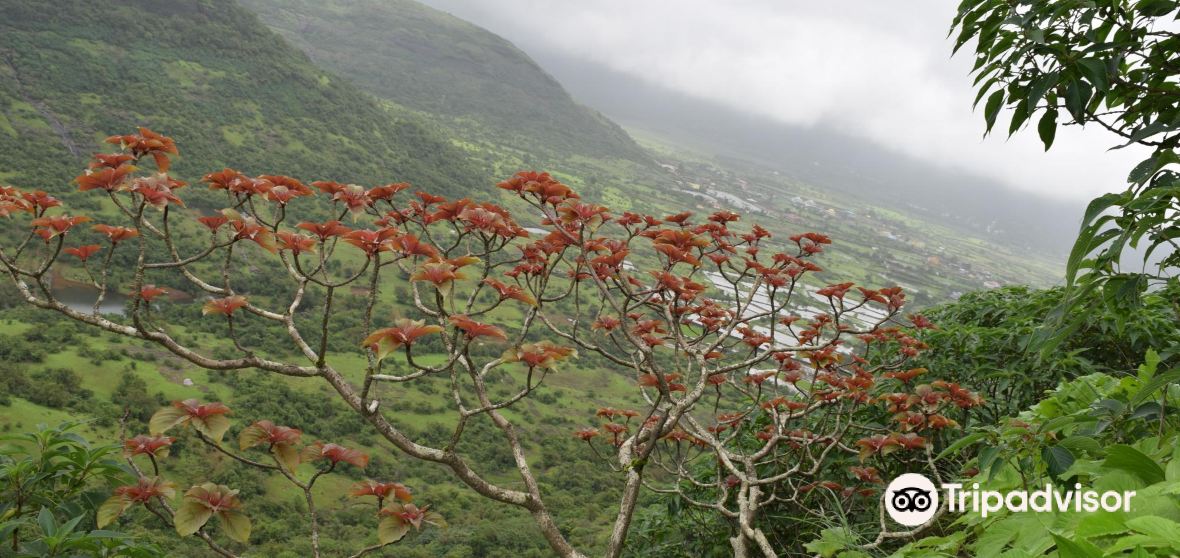 Chavani Travel Guide 2023 - Things to Do, What To Eat & Tips | Trip.com