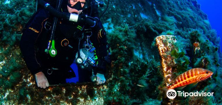 Horndon on the Hill Travel Guide 2023 - Things to Do, What To Eat ...