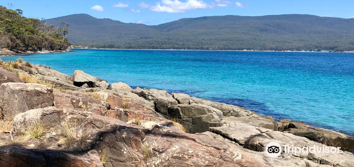 Adventure Bay Travel Guide 2023 - Things to Do, What To Eat & Tips ...