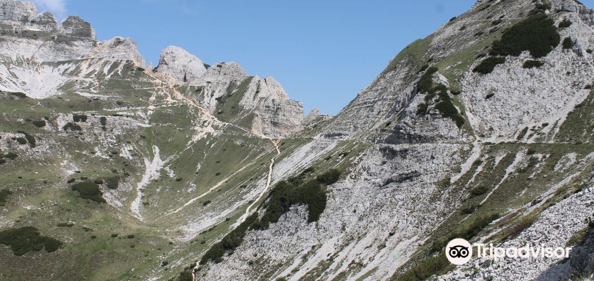 กิจกรรมน่าทำยอดนิยมในCastelfondoประจำปี 2023 - คู่มือท่องเที่ยว ...