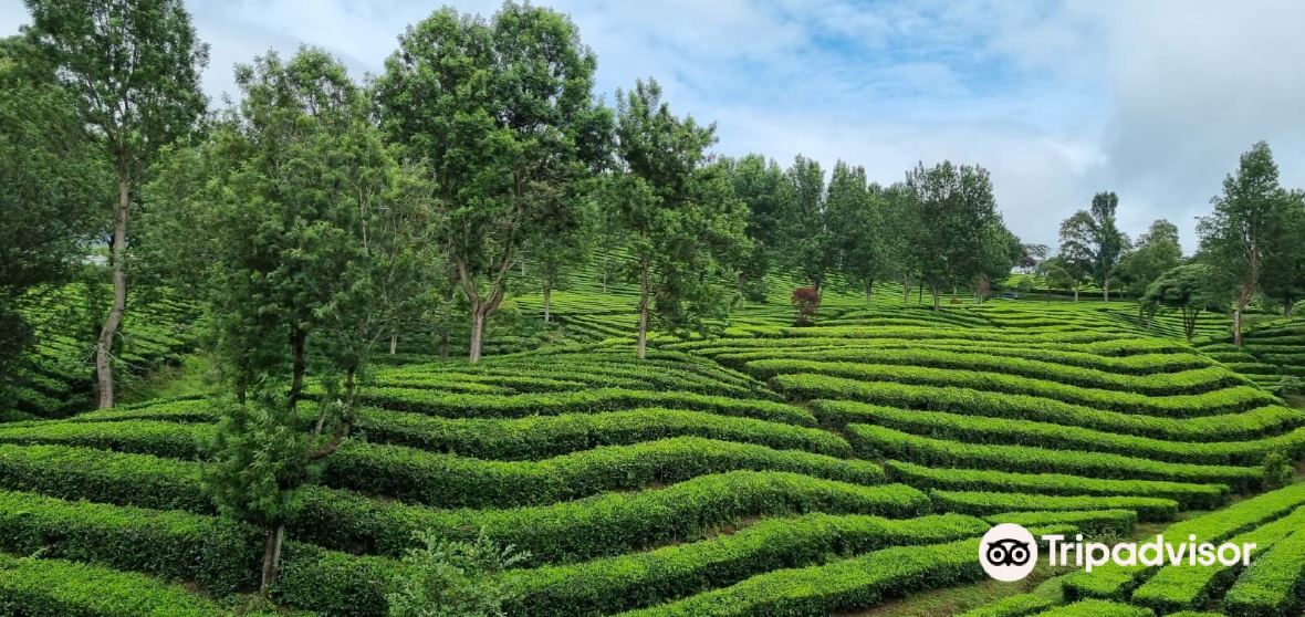 Soreang Travel Guide 2024 - Things to Do, What To Eat & Tips | Trip.com