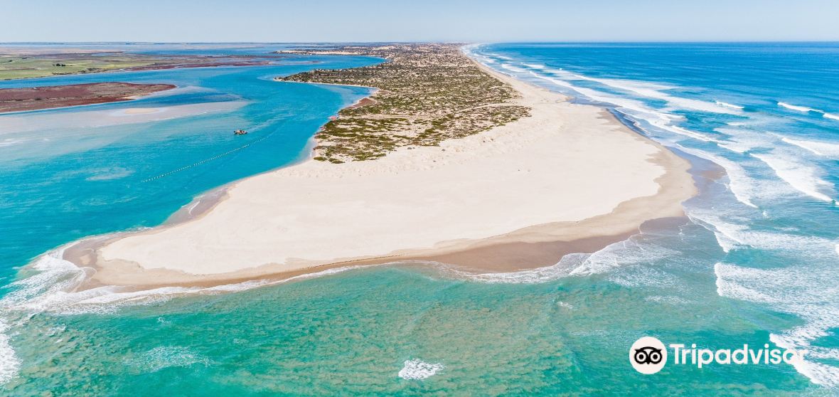 Goolwa Travel Guide 2023 - Things to Do, What To Eat & Tips | Trip.com