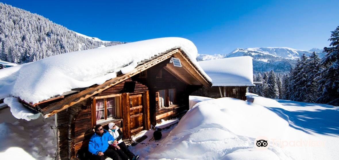 Hasliberg 2023 Top Things to Do - Hasliberg Travel Guides - Top ...