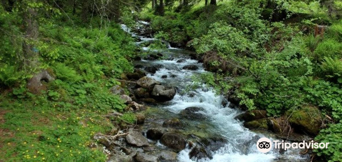 Bondo Travel Guide 2023 - Things to Do, What To Eat & Tips | Trip.com