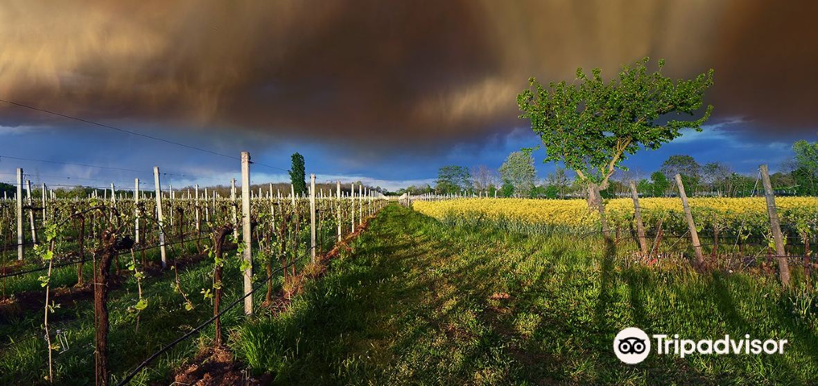 Villorba 2023 Top Things to Do - Villorba Travel Guides - Top ...