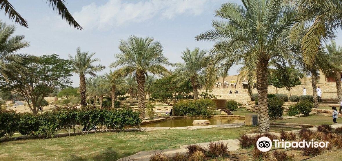 Al Majma‘ah Travel Guide 2023 - Things to Do, What To Eat & Tips | Trip.com