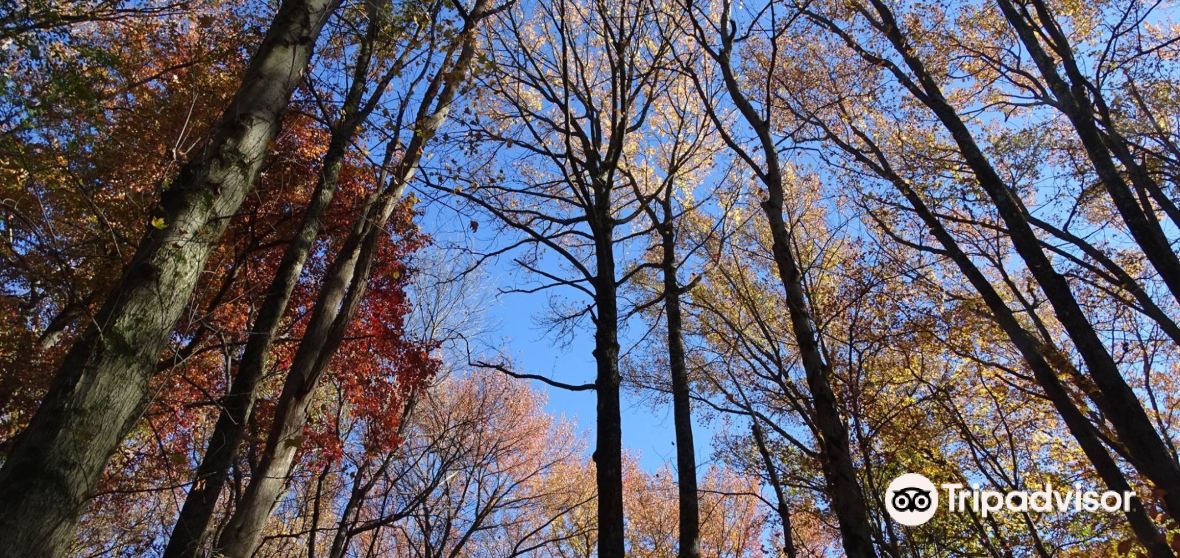 Westampton Township 2023 Top Things to Do - Westampton Township Travel ...