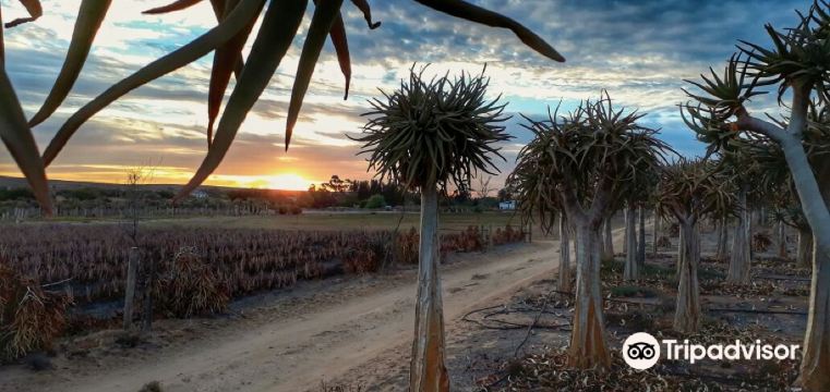 กิจกรรมน่าทำยอดนิยมในKlawerประจำปี 2022 - คู่มือท่องเที่ยวKlawer ...