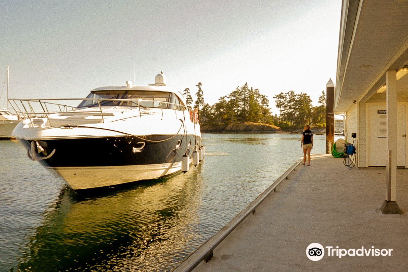 Latest travel itineraries for Van Isle Marina in June (updated in 2023 ...