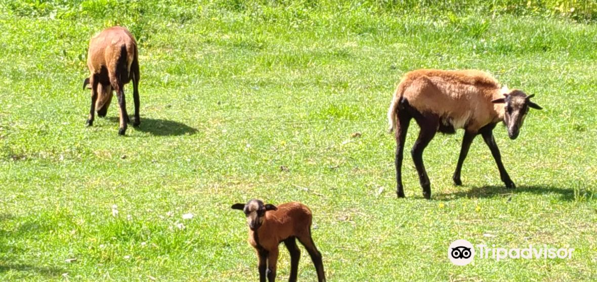 Gmina Stepnica 2023 Top Things to Do - Gmina Stepnica Travel Guides ...