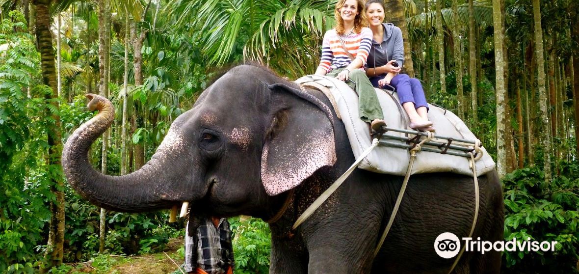 กิจกรรมน่าทำยอดนิยมในKumilyประจำปี 2023 - คู่มือท่องเที่ยวKumily ...