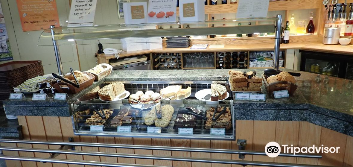 กิจกรรมน่าทำยอดนิยมในHognastonประจำปี 2022 - คู่มือท่องเที่ยวHognaston ...