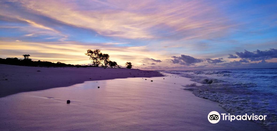 Karuni 2023 Top Things to Do - Karuni Travel Guides - Top Recommended ...