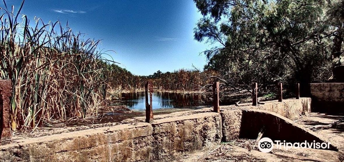 Hillston Travel Guide 2024 - Things to Do, What To Eat & Tips | Trip.com