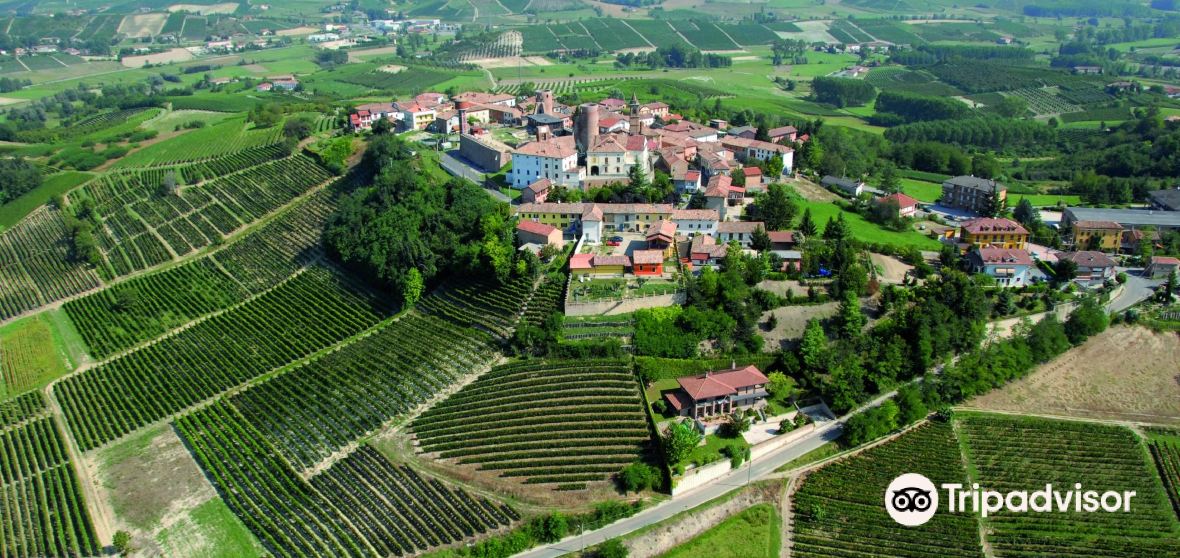 Moasca Travel Guide 2023 - Things to Do, What To Eat & Tips | Trip.com