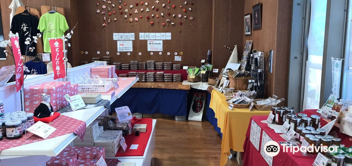 กิจกรรมน่าทำยอดนิยมในMinabeประจำปี 2023 - คู่มือท่องเที่ยวMinabe ...