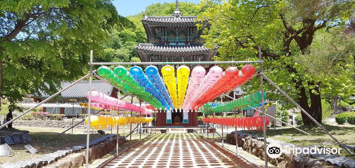 Hwasun Travel Guide 2024 - Things to Do, What To Eat & Tips | Trip.com