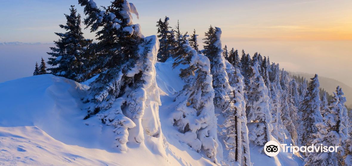 แนะนำการเดินทาง Val-de-Ruz District 2023 - สิ่งที่ควรทำ, อาหารที่ควร ...