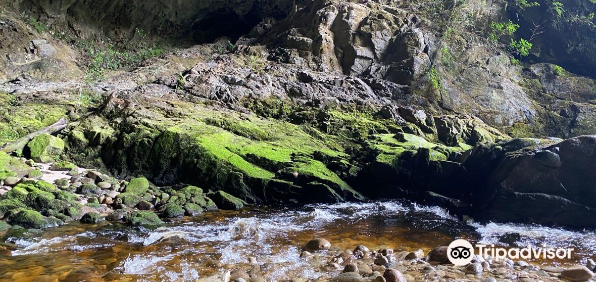 Karamea 2023 Top Things to Do - Karamea Travel Guides - Top Recommended ...