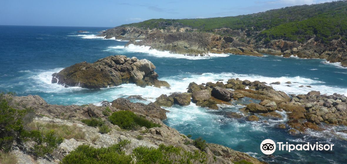 Tathra 2023 Top Things to Do - Tathra Travel Guides - Top Recommended ...