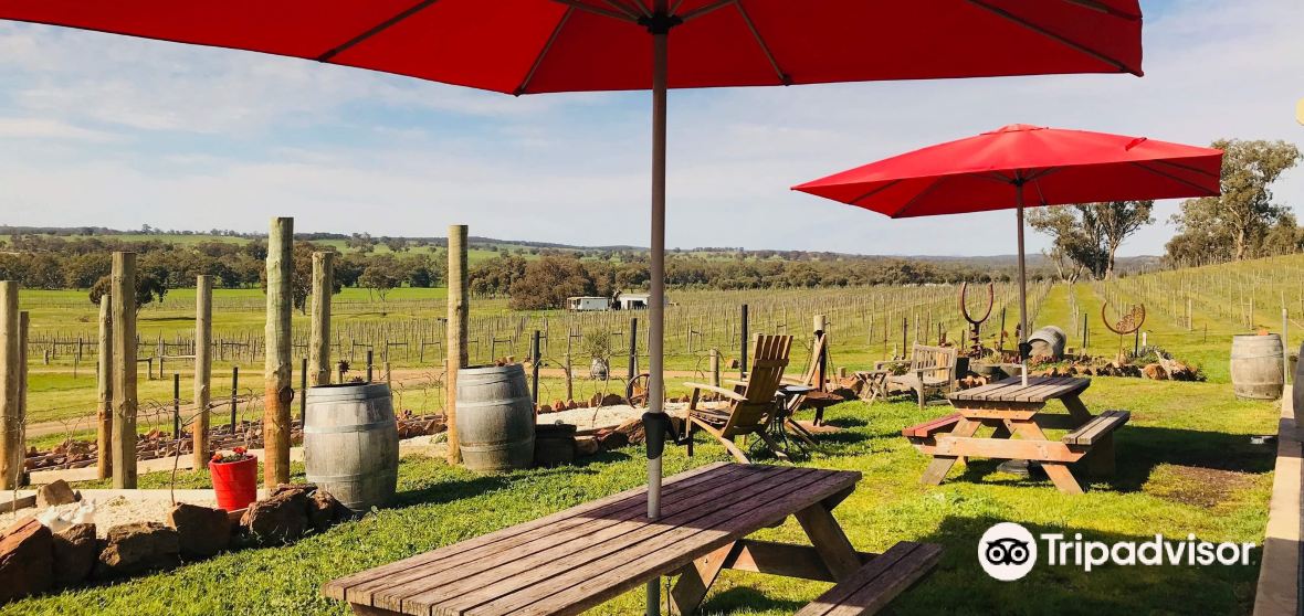 Mount Camel Travel Guide 2023 - Things to Do, What To Eat & Tips | Trip.com