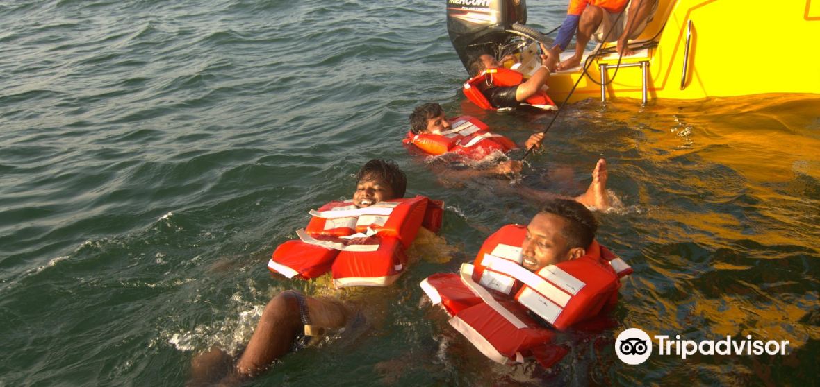 Navelim Travel Guide 2023 - Things to Do, What To Eat & Tips | Trip.com