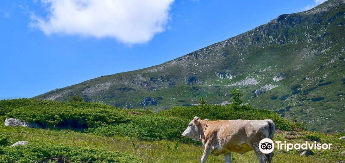 กิจกรรมน่าทำยอดนิยมในBelovoประจำปี 2023 - คู่มือท่องเที่ยวBelovo ...