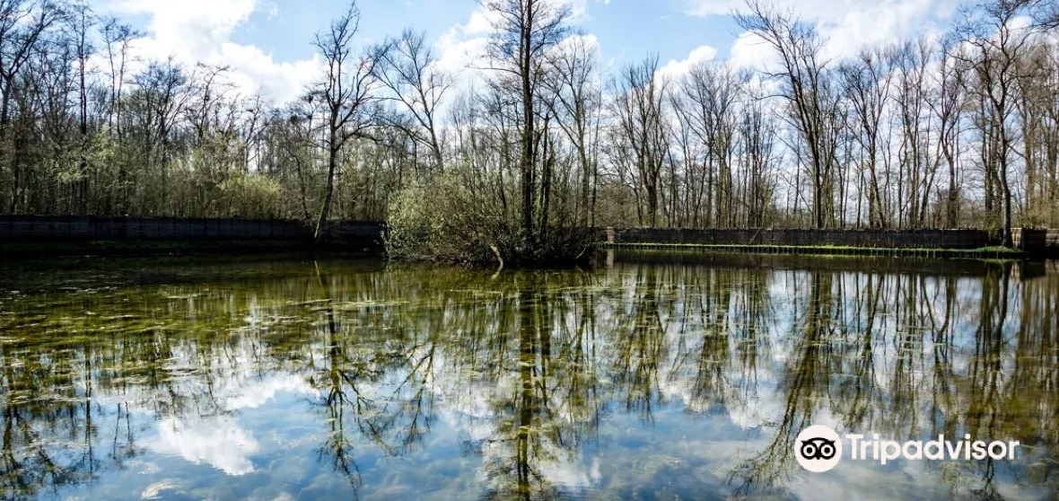 แนะนำการเดินทาง Berlare 2024 - สิ่งที่ควรทำ, อาหารที่ควรรับประทาน & ทิป ...