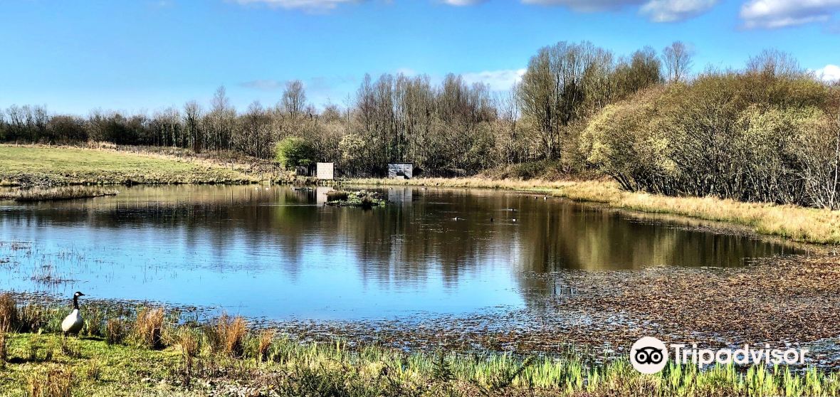 Aberkenfig Travel Guide 2023 - Things to Do, What To Eat & Tips | Trip.com