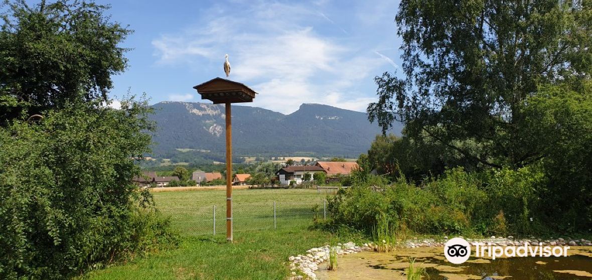 กิจกรรมน่าทำยอดนิยมในSelzachประจำปี 2022 - คู่มือท่องเที่ยวSelzach ...