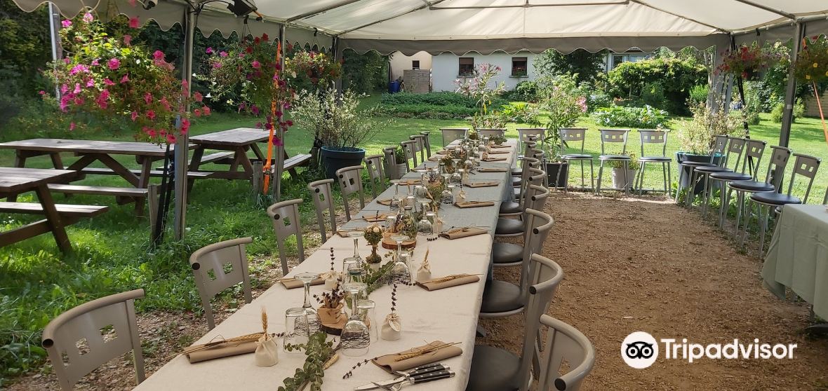 Le Vigean Travel Guide 2023 - Things to Do, What To Eat & Tips | Trip.com