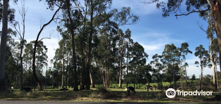 Drouin West Travel Guide 2023 - Things to Do, What To Eat & Tips | Trip.com