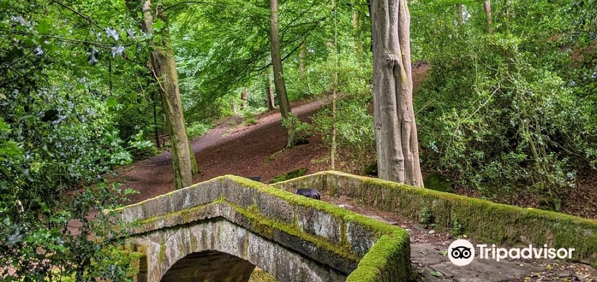 Wharncliffe Side Travel Guide 2023 - Things to Do, What To Eat & Tips ...