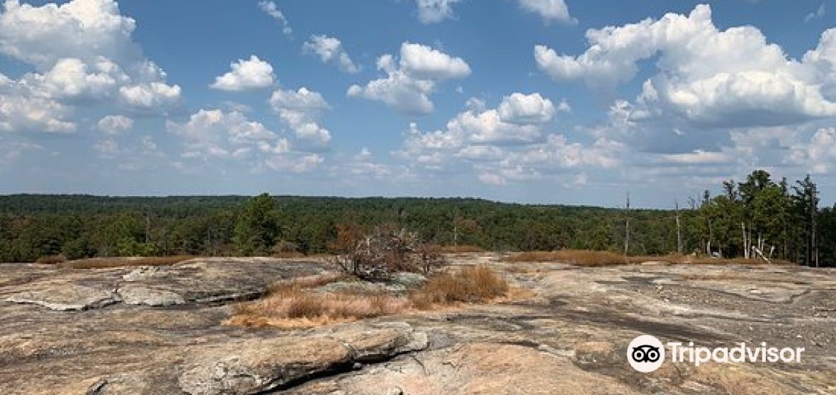 10 Best Things to do in DeKalb County, Georgia - DeKalb County travel ...