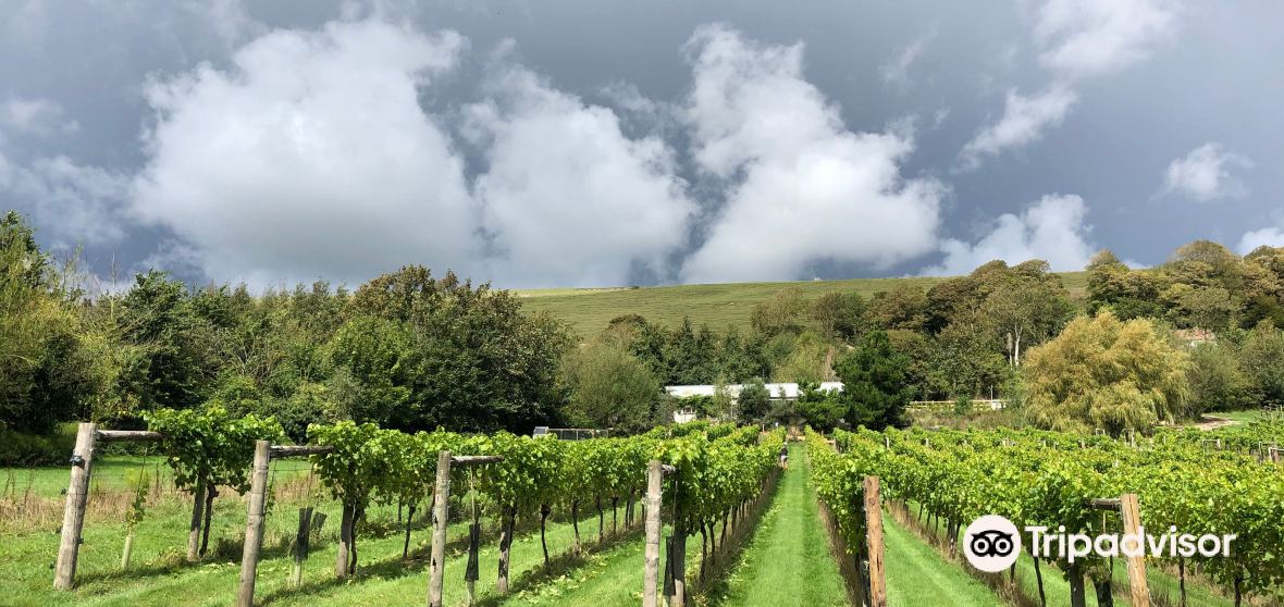 Portesham Travel Guide 2023 - Things to Do, What To Eat & Tips | Trip.com