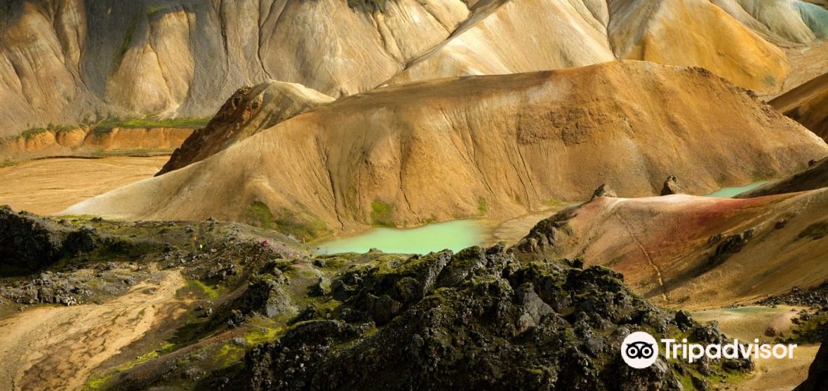 Seltjarnarnes Travel Guide 2023 - Things to Do, What To Eat & Tips ...