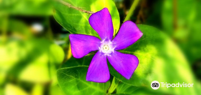 กิจกรรมน่าทำยอดนิยมในGorinoประจำปี 2022 - คู่มือท่องเที่ยวGorino ...