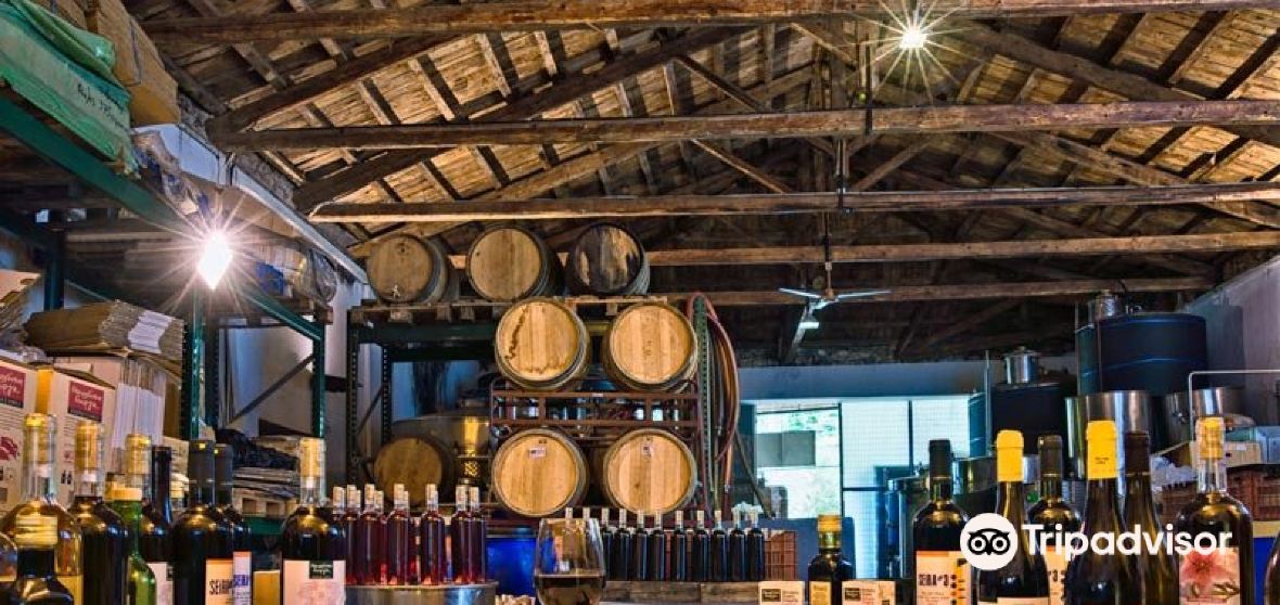 Spata-Artemida Travel Guide 2023 - Things to Do, What To Eat & Tips ...