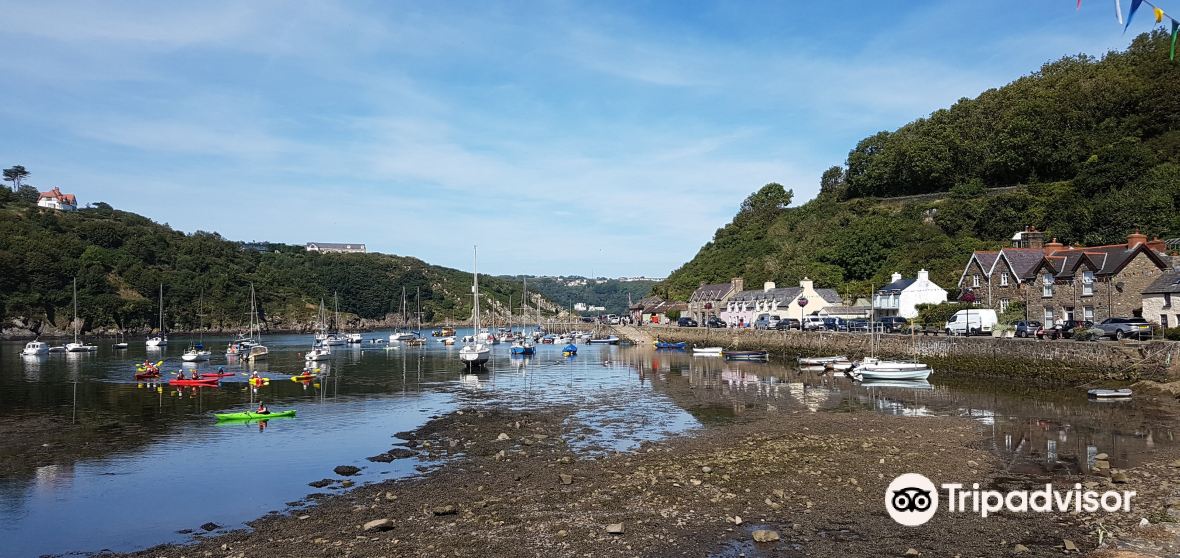 10 Best Things to do in Fishguard and Goodwick, Pembrokeshire ...