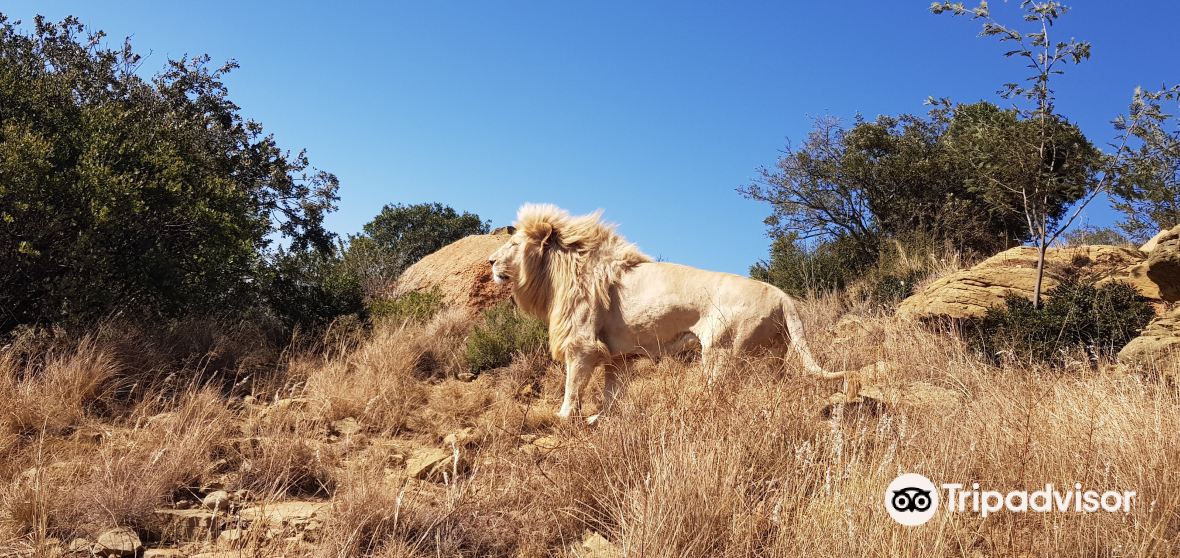 Qwa-Qwa Travel Guide 2023 - Things to Do, What To Eat & Tips | Trip.com