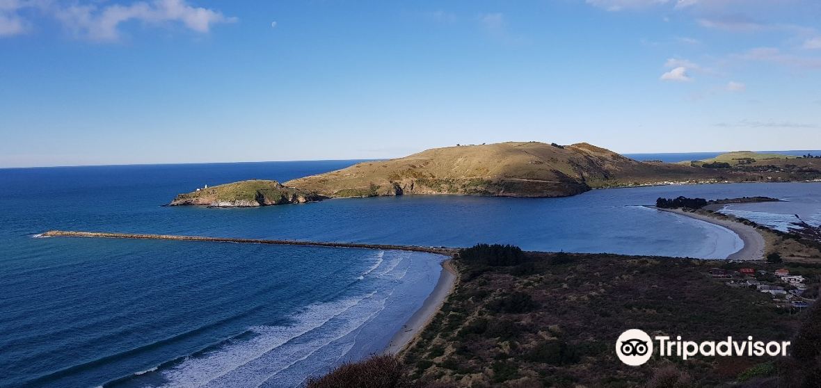 Aramoana Travel Guide 2023 - Things to Do, What To Eat & Tips | Trip.com