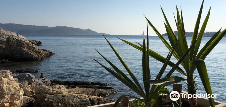 Kerveli Travel Guide 2023 - Things to Do, What To Eat & Tips | Trip.com