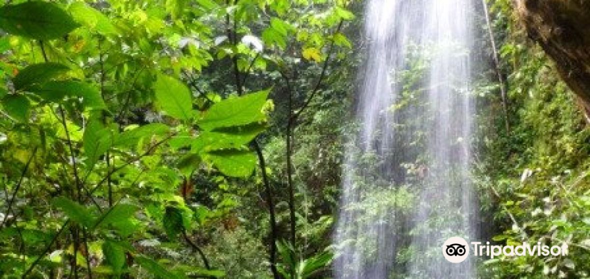 กิจกรรมน่าทำยอดนิยมในNamu Sialangประจำปี 2023 - คู่มือท่องเที่ยวNamu ...