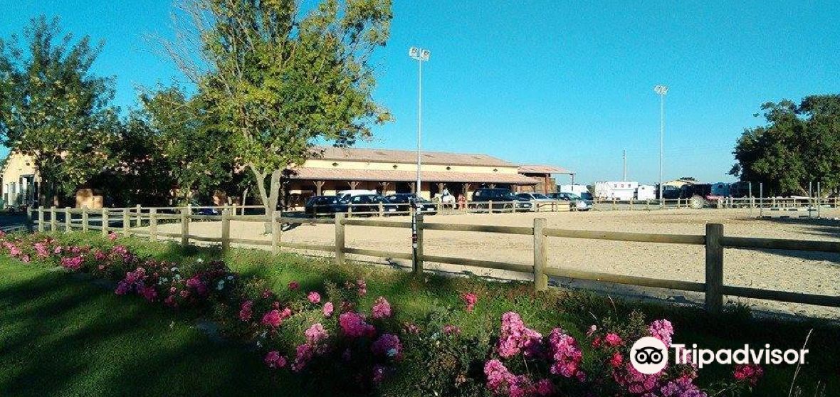 Levignac 2023 Top Things to Do - Levignac Travel Guides - Top ...