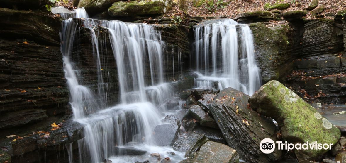 Pope County Travel Guide 2023 - Things to Do, What To Eat & Tips | Trip.com