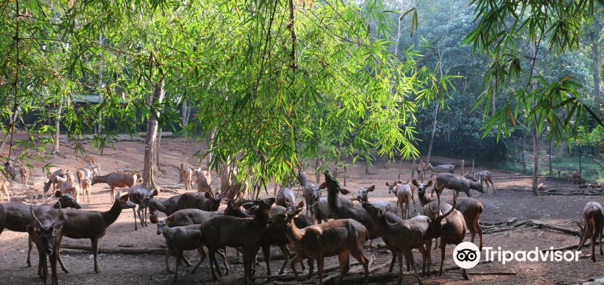 Kodanad 2023 Top Things to Do - Kodanad Travel Guides - Top Recommended ...