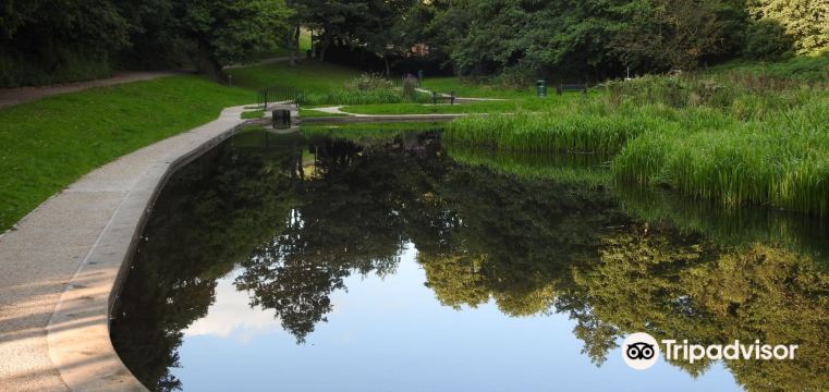 กิจกรรมน่าทำยอดนิยมในTrevethinประจำปี 2023 - คู่มือท่องเที่ยวTrevethin ...